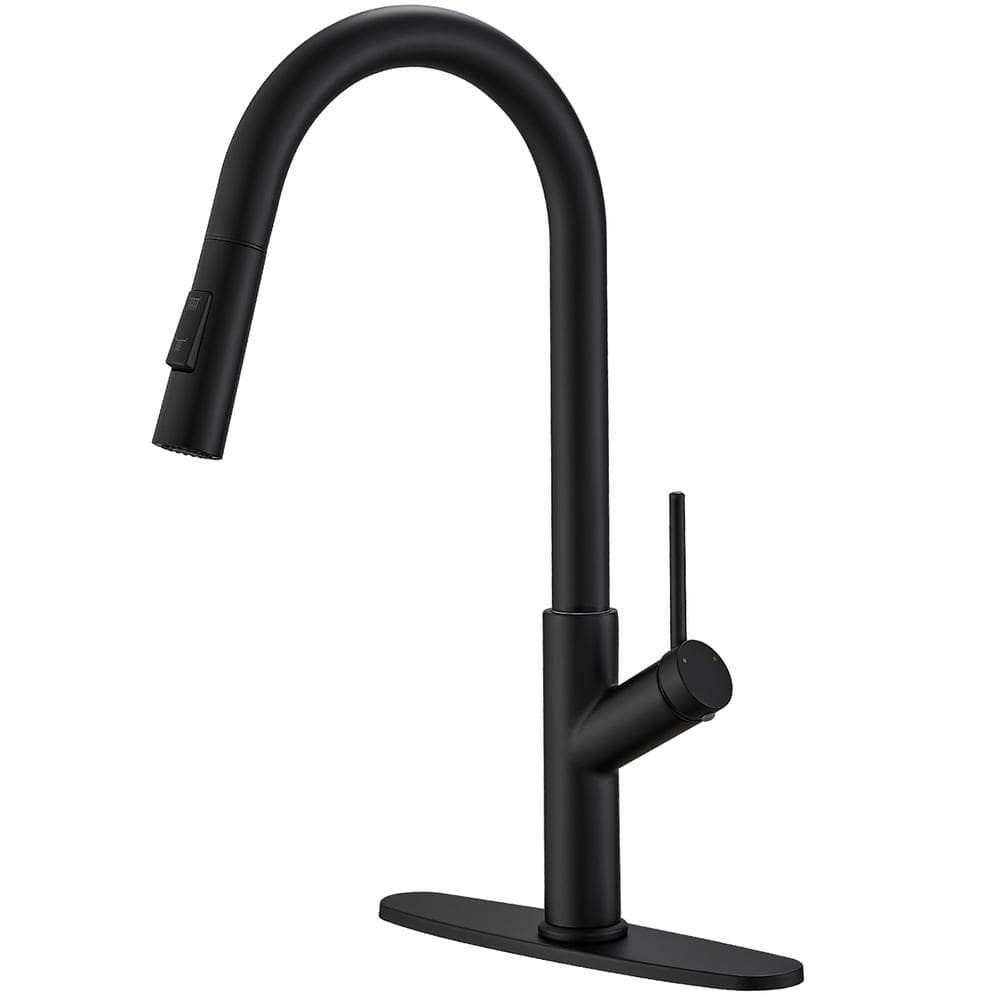 Fapully Single Handle Pull Down Sprayer Kitchen Faucet, Sing Hole ...
