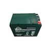LEOCH 12-Volt 50 Ah Sealed Lead Acid Battery for Ryobi 30 in. Riding ...