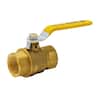 ProLine Series 1 in. x 1 in. Brass FIP Full Port Ball Valve 107-815HN ...