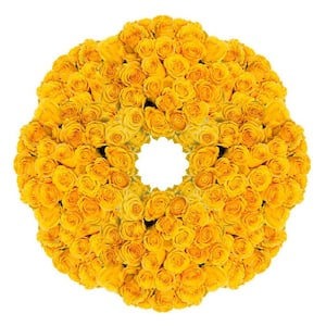 Globalrose Fresh Yellow Color Roses (250 Stems) gold-strike-250 - The ...