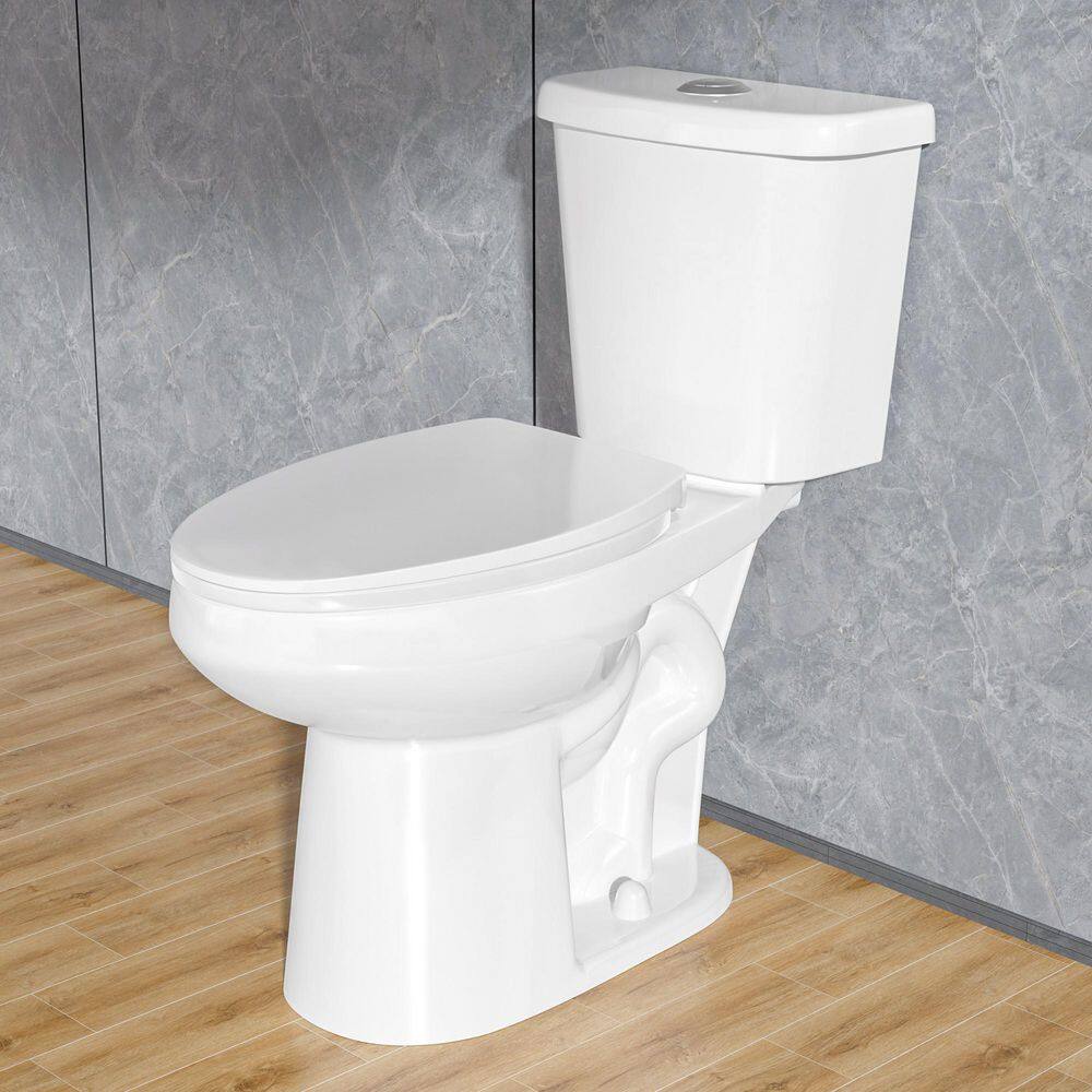 19 in. ADA Height 2-Piece Toilet 1.0/1.28 GPF Dual Flush Elongated White Tall Toilet Comfort ...