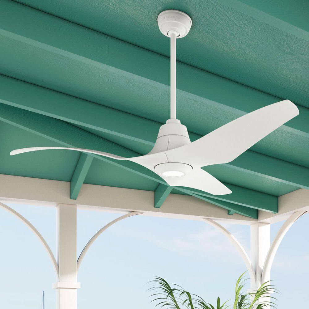 Casablanca Fan Company Casablanca 60 in. Stingray ENERGY STAR Matte ...