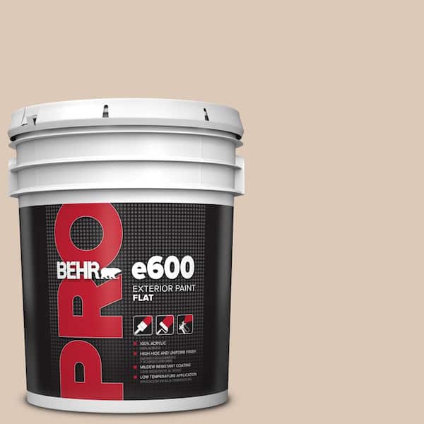 BEHR PRO 5 gal. #MQ3-09 Loft Light Flat Exterior Paint PR61005 - The ...