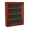 Carnegy Avenue Mahogany Display Case CGA-HMD-527498-MA-HD - The Home Depot