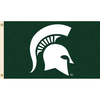 BSI Products NCAA Michigan State Spartans 3 ft. x 5 ft. Collegiate 2 ...