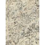 FORMICA 4 ft. x 8 ft. Laminate Sheet in White Ice Granite with Matte ...