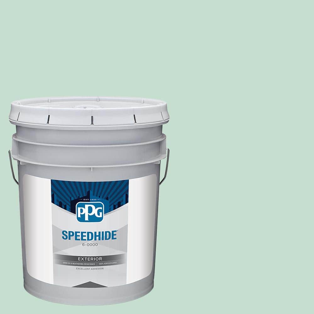 SPEEDHIDE 5 gal. PPG1132-2 Solitaire Satin Exterior Paint PPG1132-2SX ...