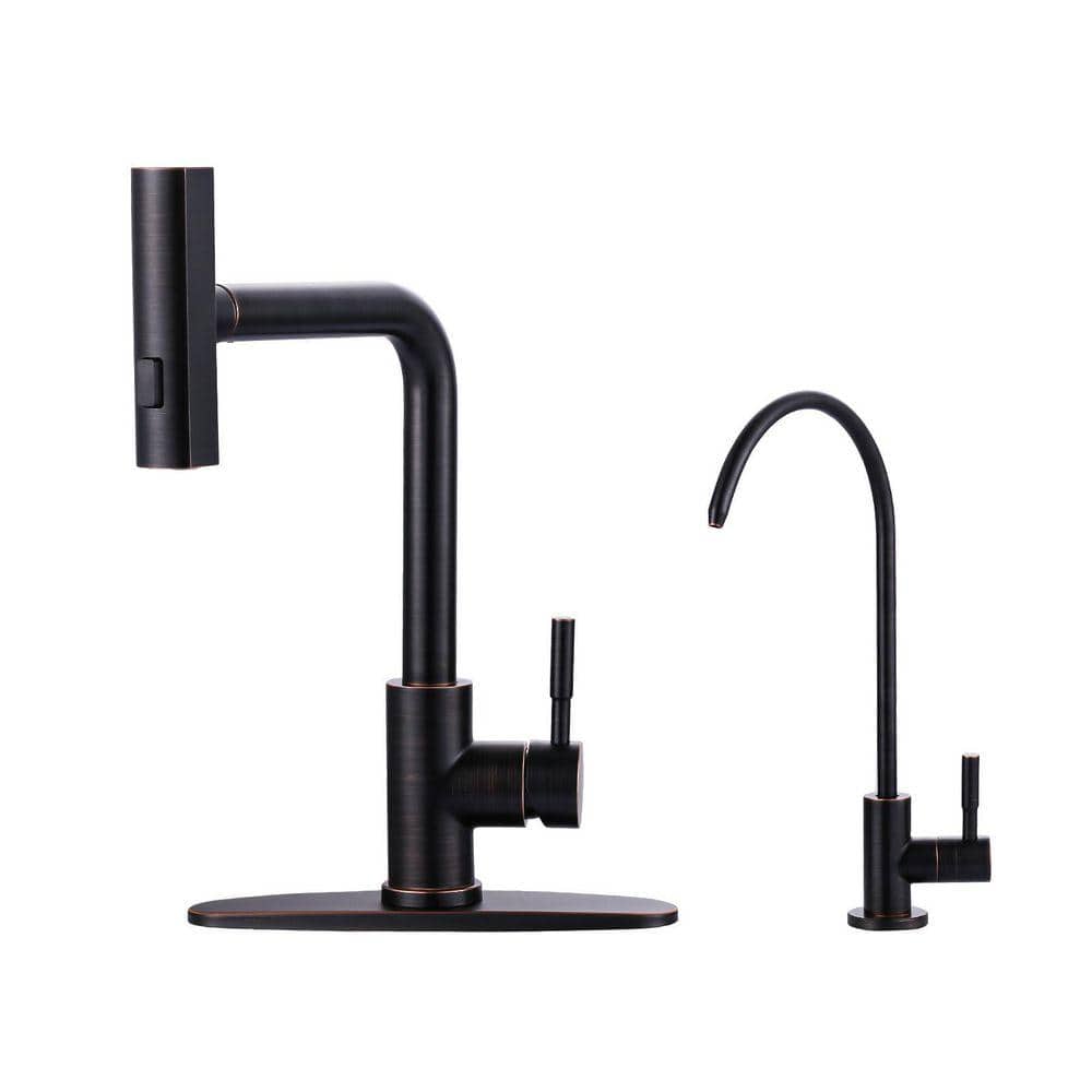 ALEASHA 15.6 in. Single-Handle Pull-Out Sprayer Kitchen Faucet with 360 ...