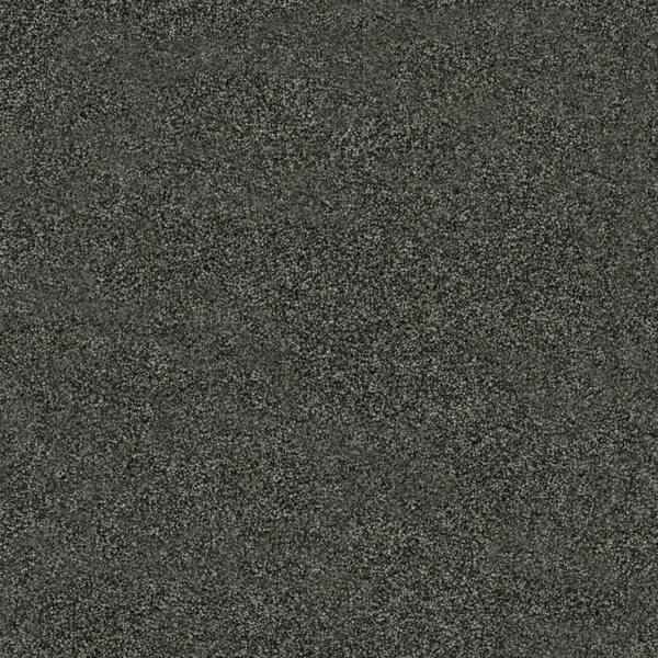 Engineered Floors 8 in. x 8 in. Texture Carpet Sample-Cinderella Soft I ...