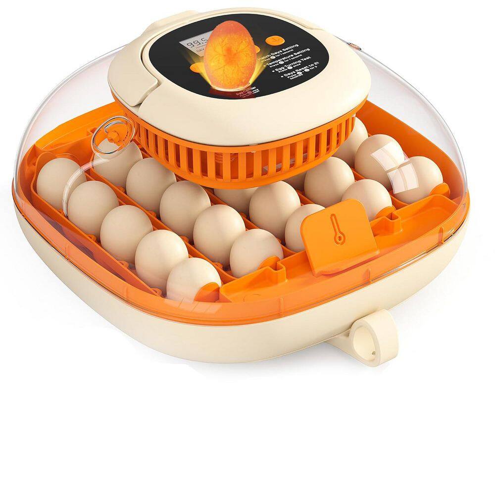 KIWDZFU 25 Egg Incubator Automatic Turner with Thermometer Humidity ...