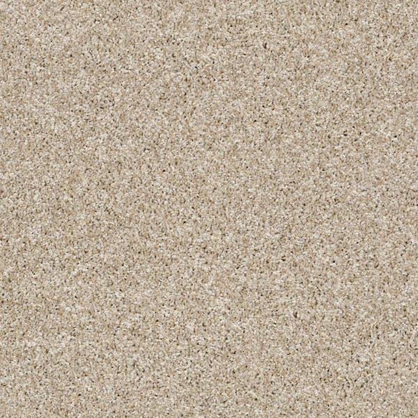 Home Decorators Collection 8 in. x 8 in. Texture Carpet Sample ...