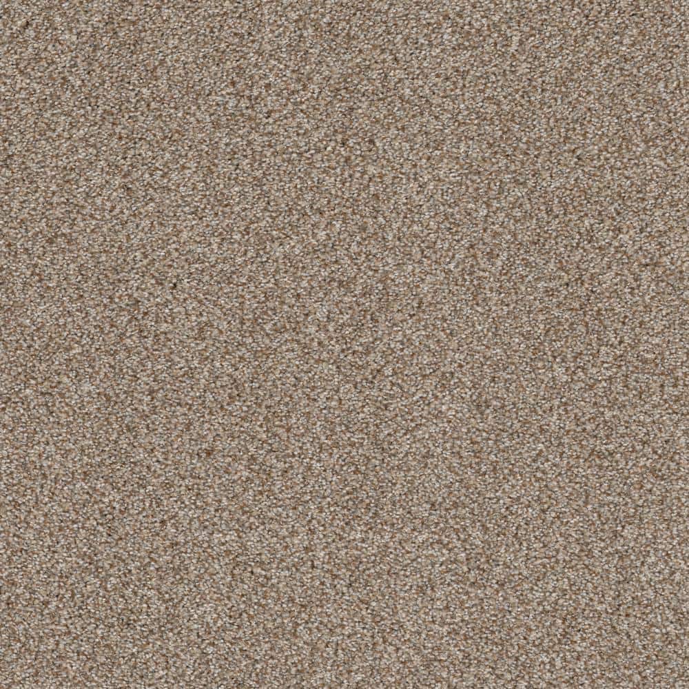 Home Decorators Collection Columbus I - Teddy Bear - Brown 56.2 oz. SD ...