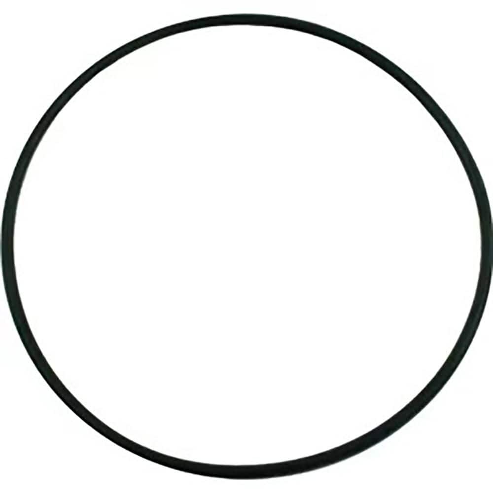 PENTAIR O-ring replacement part for Select Pool Pumps and Filters ...