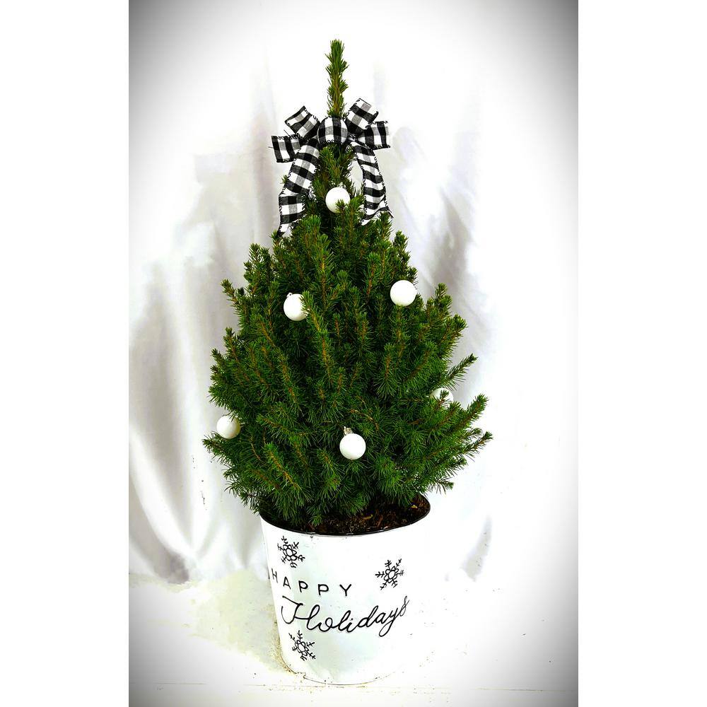 9 in. Holiday Spruce Tree with Plaid Bow, White Ornaments and ...