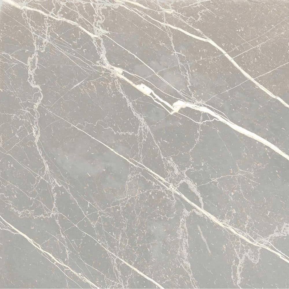 Apollo Tile Regalia 12 in. x 12 in. Matte Ash Gray Porcelain Veining ...