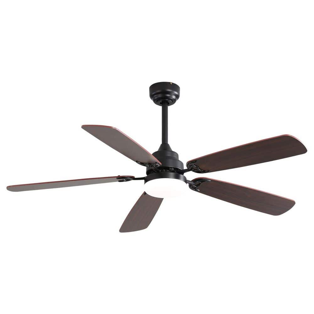 INNOBULE 52 in. Indoor Black Ceiling Fan GR-CLF-0019 - The Home Depot