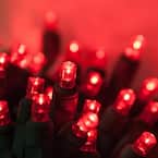 Wintergreen Lighting 24 ft. 70-Light Red 5 mm LED Mini Light Set 20354 ...