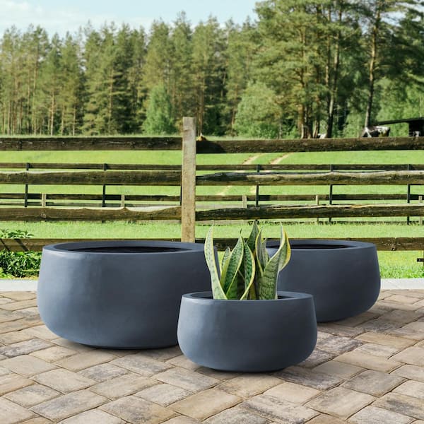 Large Indoor Plant Pots Foter, 52% OFF