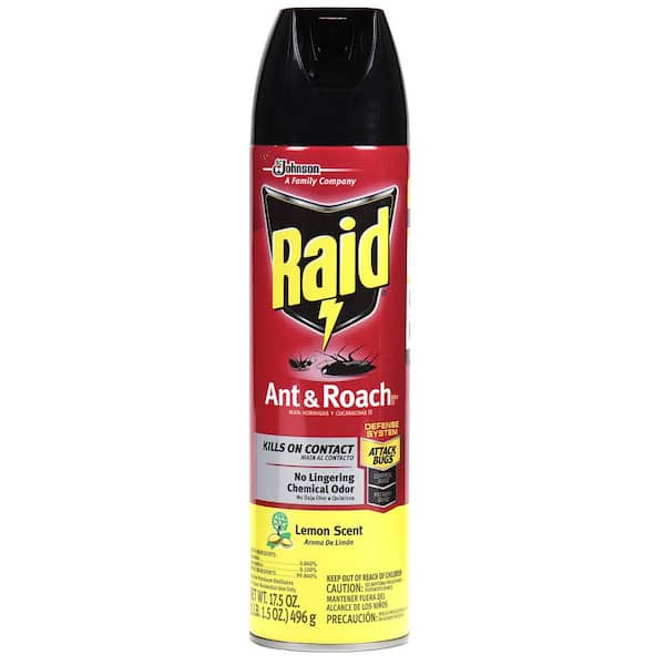 Raid 17.5 oz. Ant and Roach Insect Killer Lemon Aerosol SCJ333823 - The ...