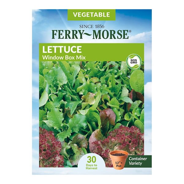 Ferry-Morse Lettuce Window Box Mix Vegetable Seeds 9746 - The Home Depot