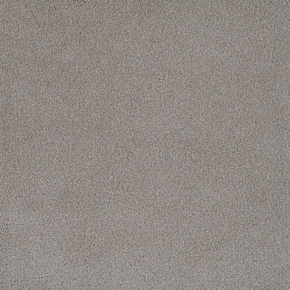 Home Decorators Collection First Class II - Ashland - Beige 50 oz. SD ...