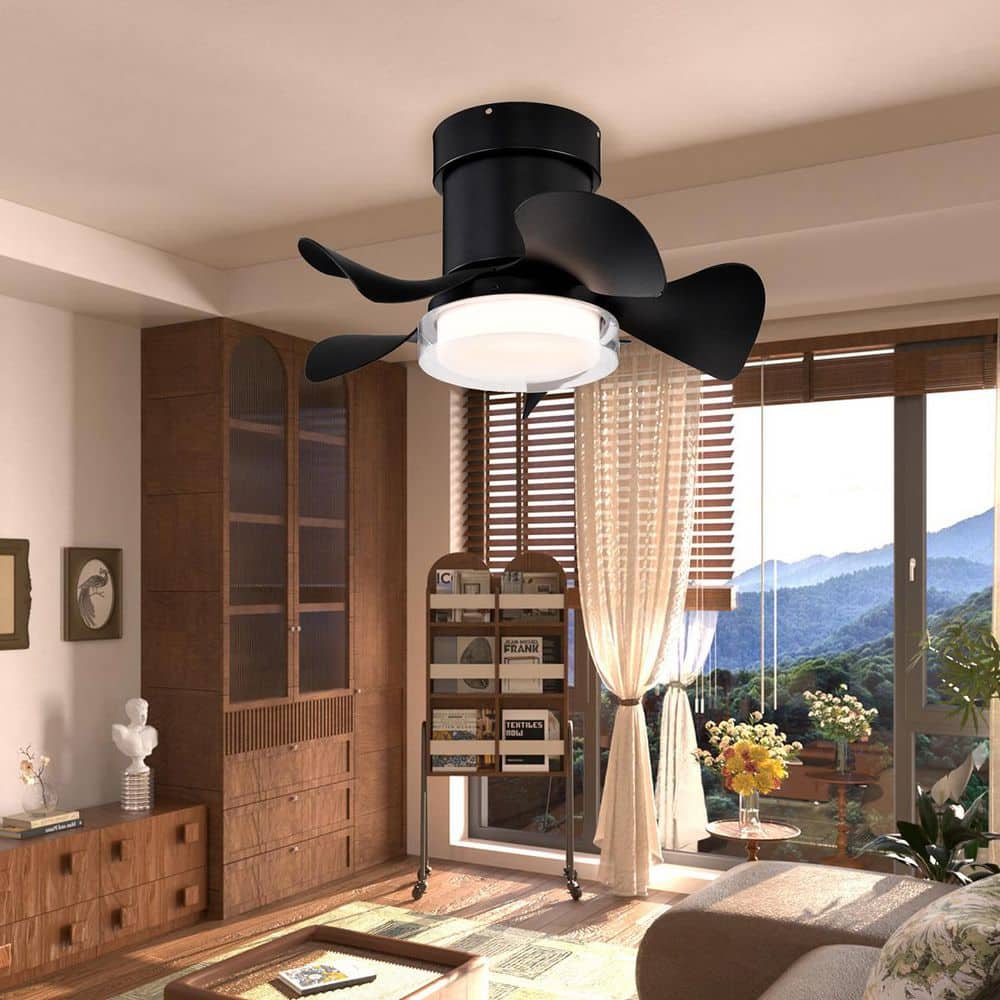 Reviews for TaiMei 21 in. Modern 5-Blade Indoor Black Ceiling Fan with ...