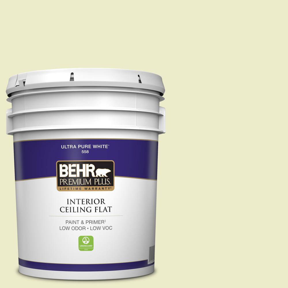 BEHR PREMIUM PLUS 5 gal. #P360-2 Iced Green Apple Ceiling Flat Interior ...