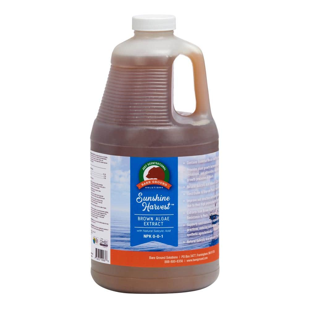 Just Scentsational 64 oz. Brown Algae with Natural Salicylic Acid ANSW ...