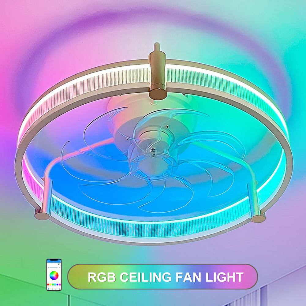 TOZING 21 in. Smart LED Indoor White RGB Modern Low Profile Flush Mount ...