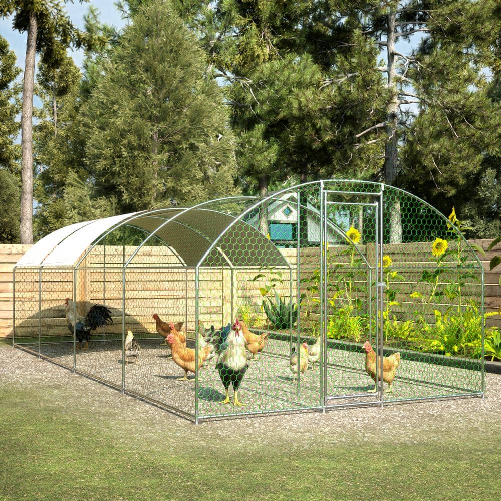 Thanaddo 10 ft. x 26 ft. Large Metal Walk in Chicken Coop Galvanized ...