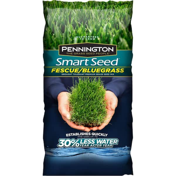 Pennington Smart Seed 3 lbs. Fescue/Bluegrass Grass Seed PC Mix ...