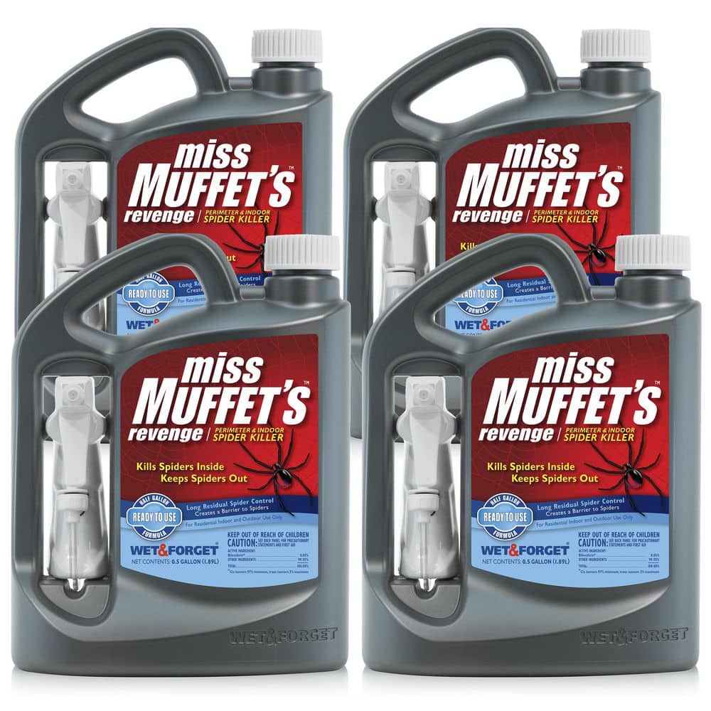 Wet and Forget 64 oz. Ready-to-Use Perimeter and Indoor Spider Insect ...