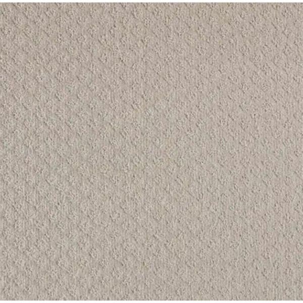 Home Decorators Collection 8 in. x 8 in. Pattern Carpet Sample ...