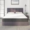 NapQueen Victoria Queen Medium Firm Hybrid 10 in Mattress, Bed in a Box ...