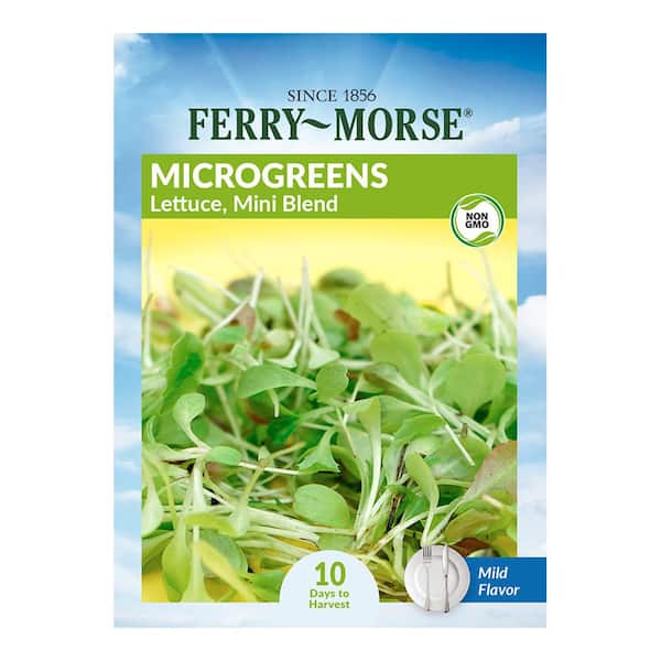 Ferry-Morse Lettuce Mini Blend Micro-greens Vegetable Seeds 9670 - The ...