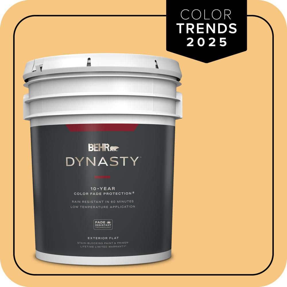 BEHR DYNASTY 5 gal. #PPU6-07 Jackfruit Flat Exterior Stain-Blocking ...