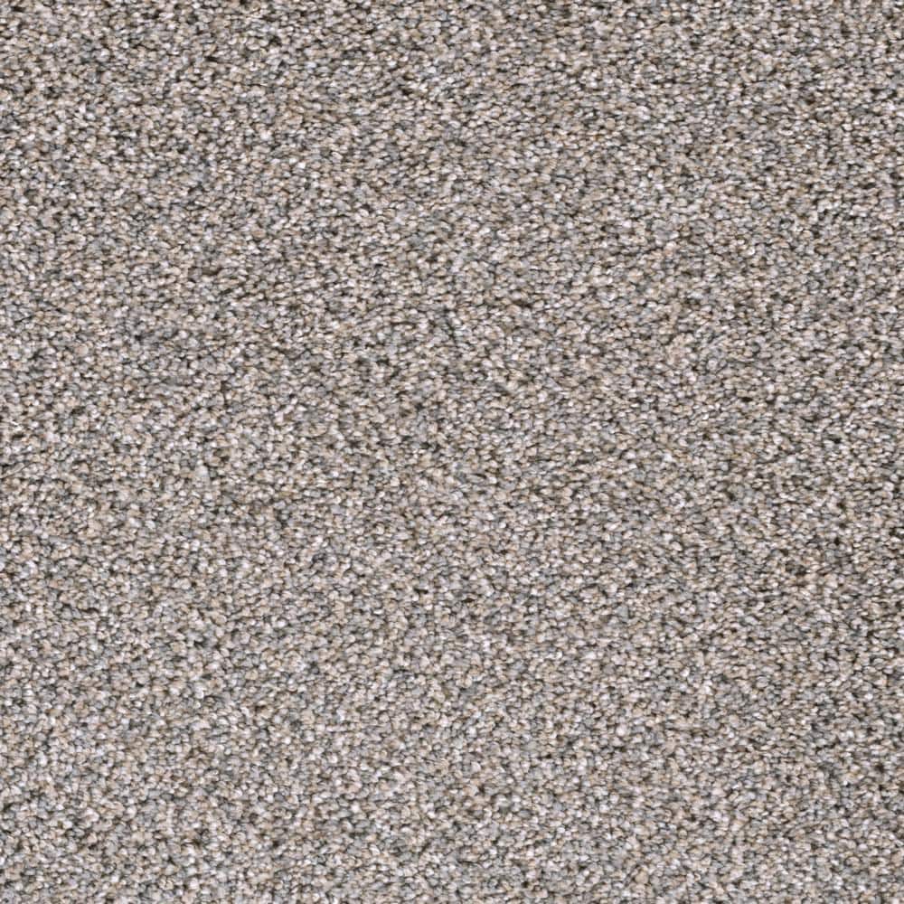 Home Decorators Collection 8 in. x 8 in. Texture Carpet Sample ...