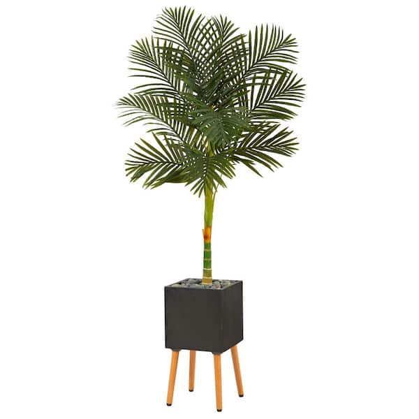Palm Tree Stand