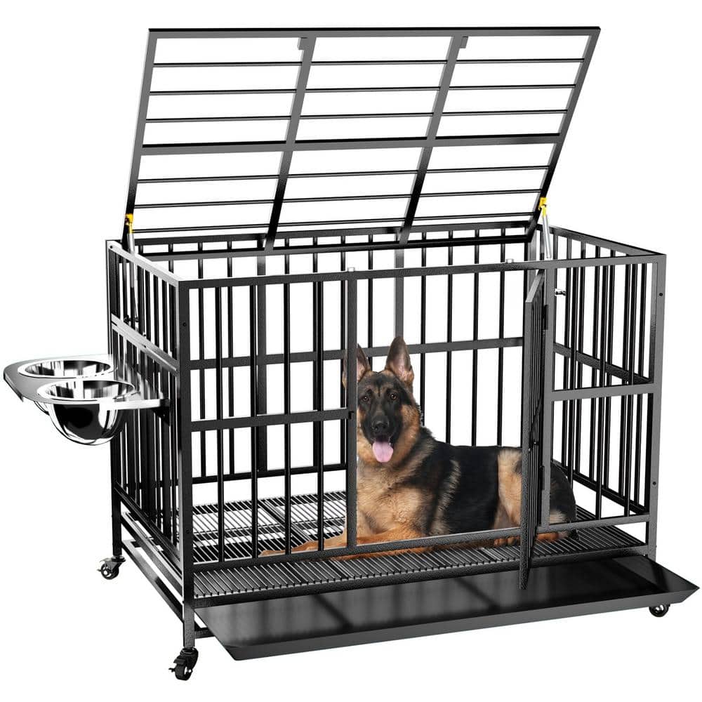 HOMEIBRO 49 in. Large Heavy Duty Dog Crate with Stainless Steel Bowls R ...