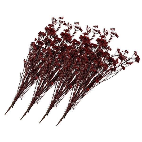 castellousa 24 in. Red Indoor Non Artificial Dried Preserved Millet ...
