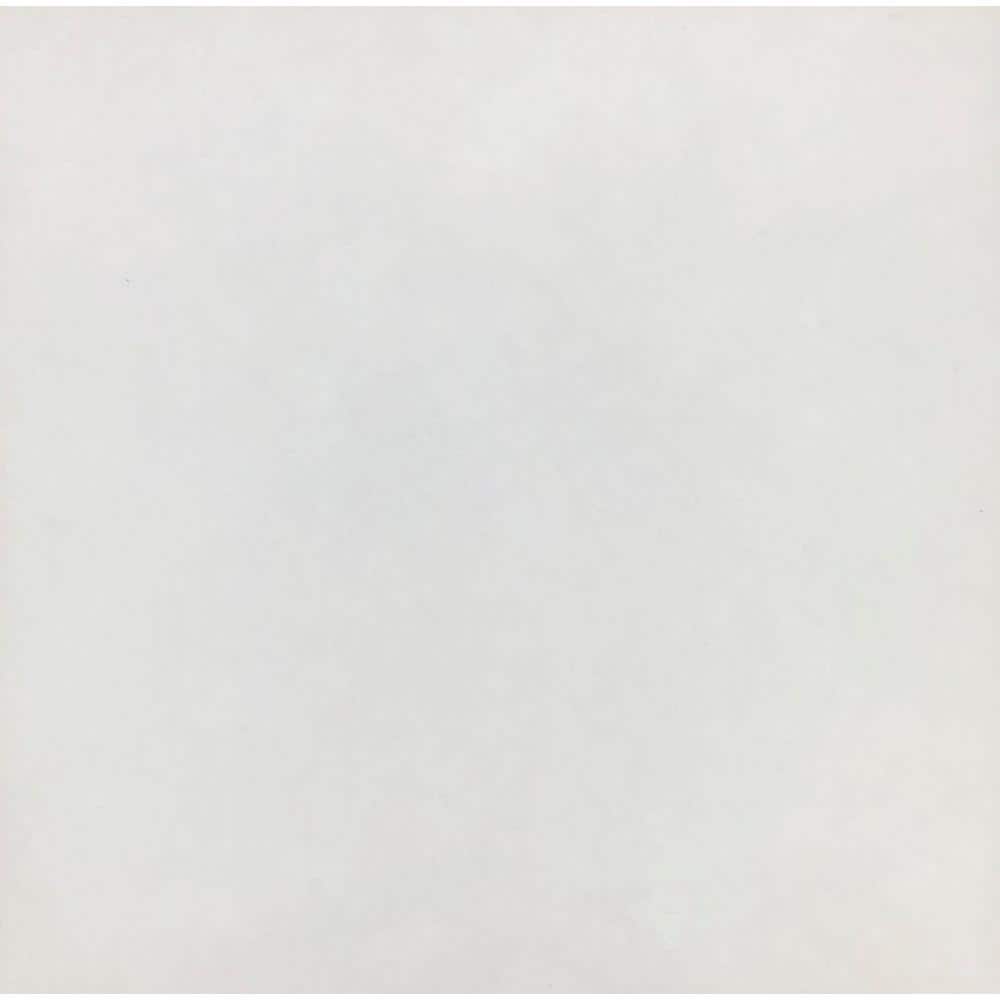 Sonoma White 18 in. x 18 in. Ceramic Floor and Wall Tile (2.18 sq. ft ...