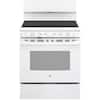 GE 30 in. 4 Burner Element Free-Standing Electric Range with Self ...
