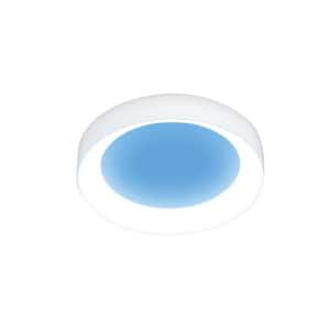 Have a question about Feit Electric 8 in. Vista Artificial Skylight ...