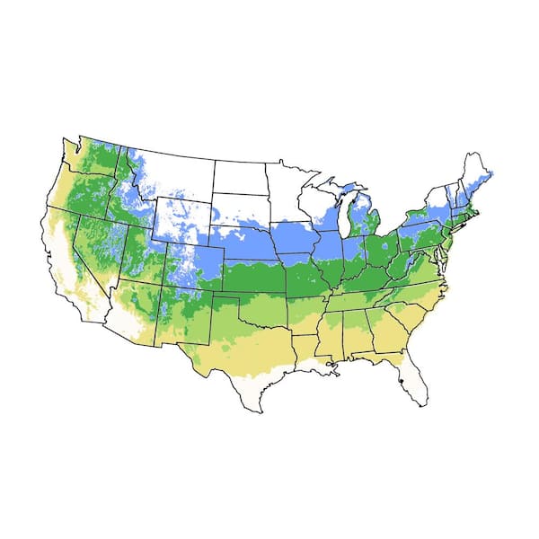 Peach Tree Zones 5 6