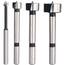 DIABLO Forstner Bit Set (4-Piece) FB004S - The Home Depot