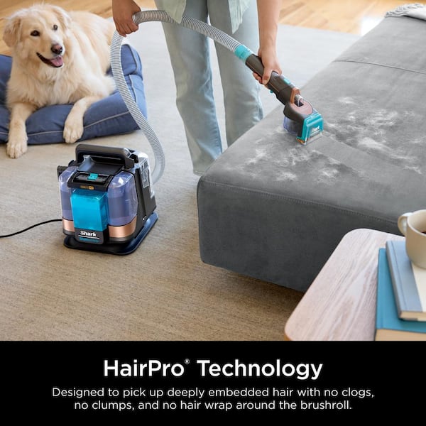 Shark StainStriker HairPro Pet Corded Stain Extractor and Deep Carpet ...