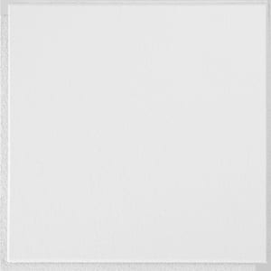 1 x 1 ft - Ceiling Tiles - Ceilings - The Home Depot