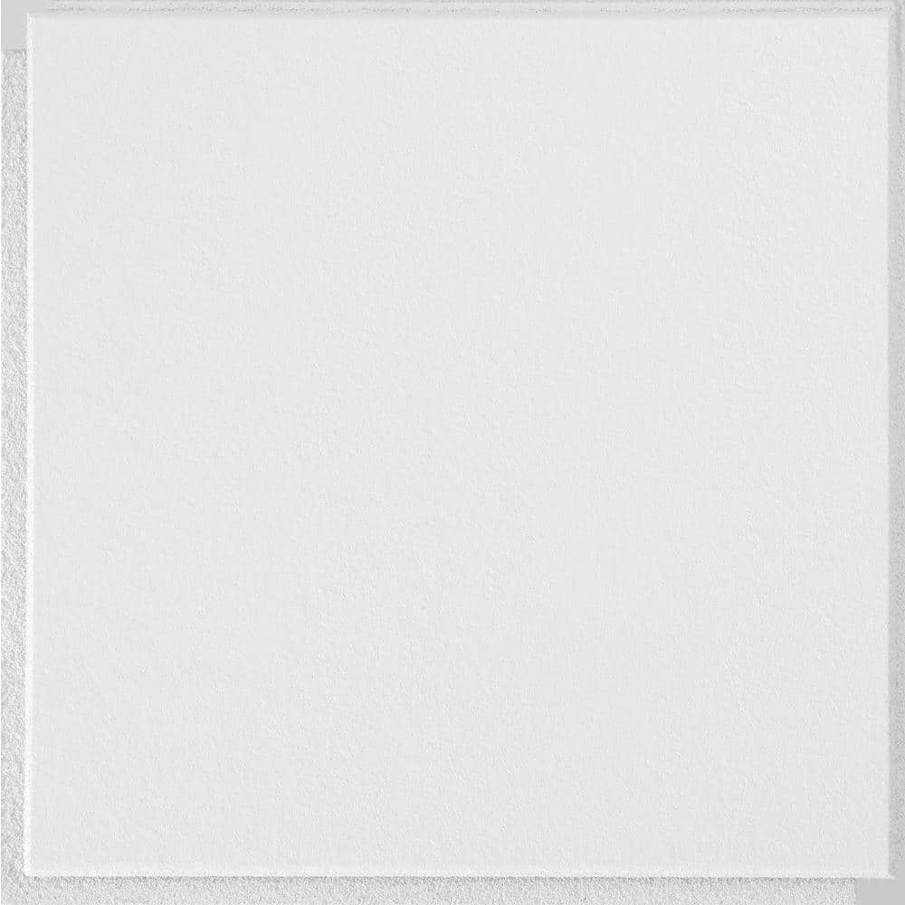 Armstrong CEILINGS Washable White 1 ft. x 1 ft. Clip Up or Glue Up ...