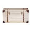 Baxton Studio Bechet Silver Storage Trunk 154-9188-HD - The Home Depot