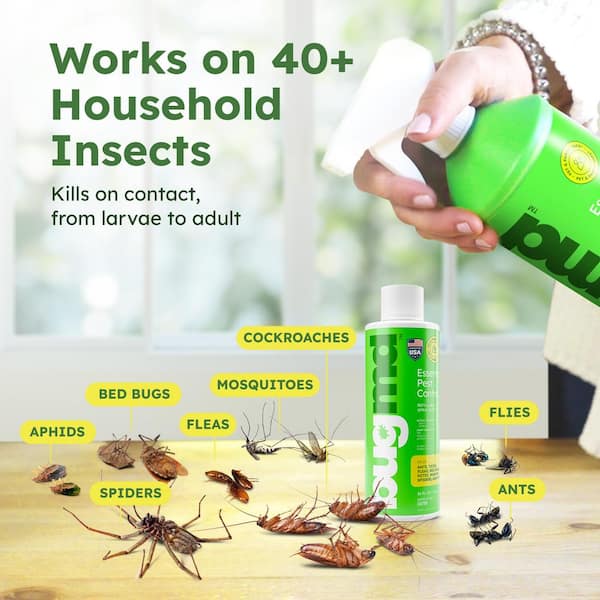BUGMD Essential Pest Control Starter Kit 3.7 oz. Concentrated, Indoor ...